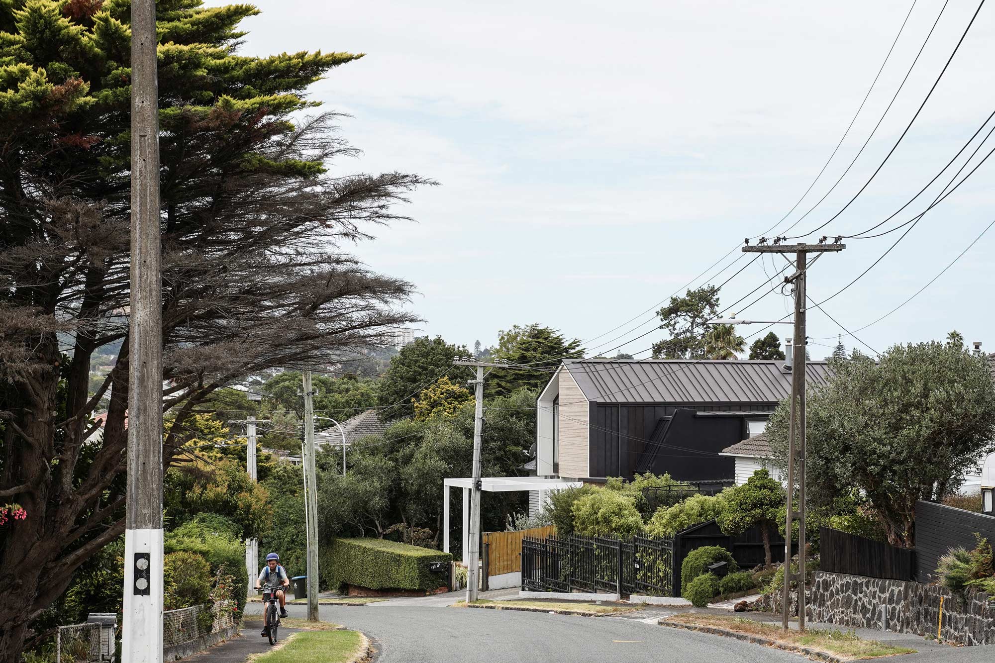 Dally Terrace