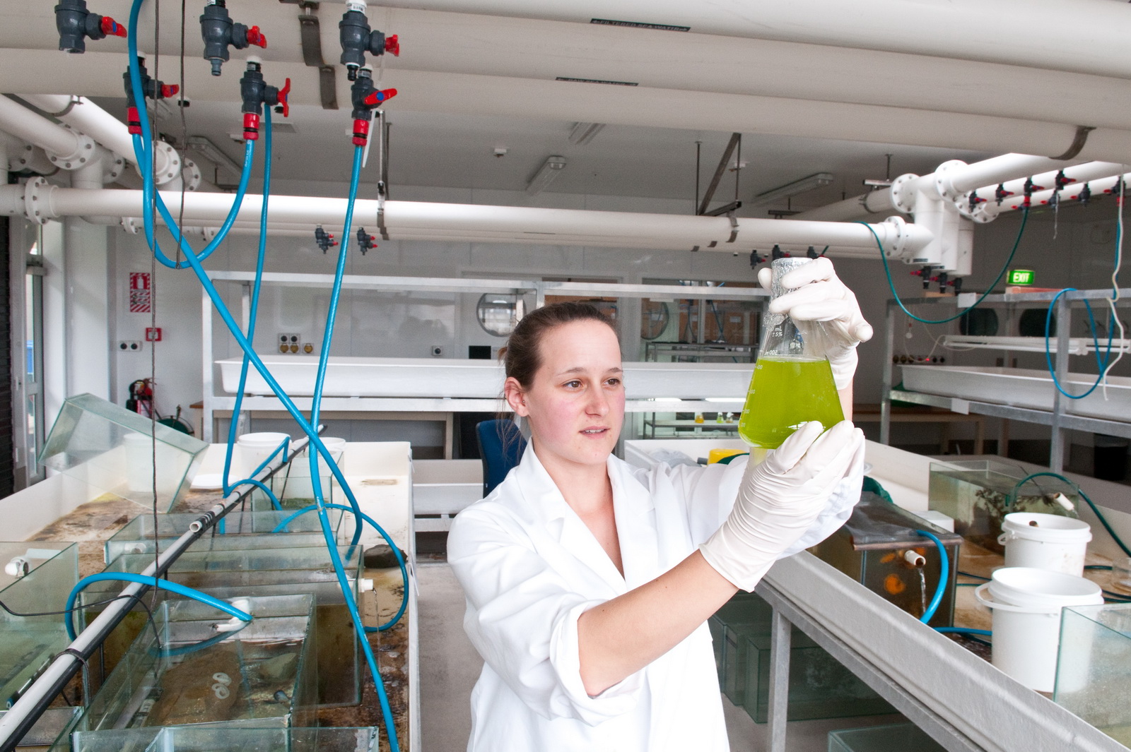 Victoria University of Wellington - Coastal Ecology Laboratory
